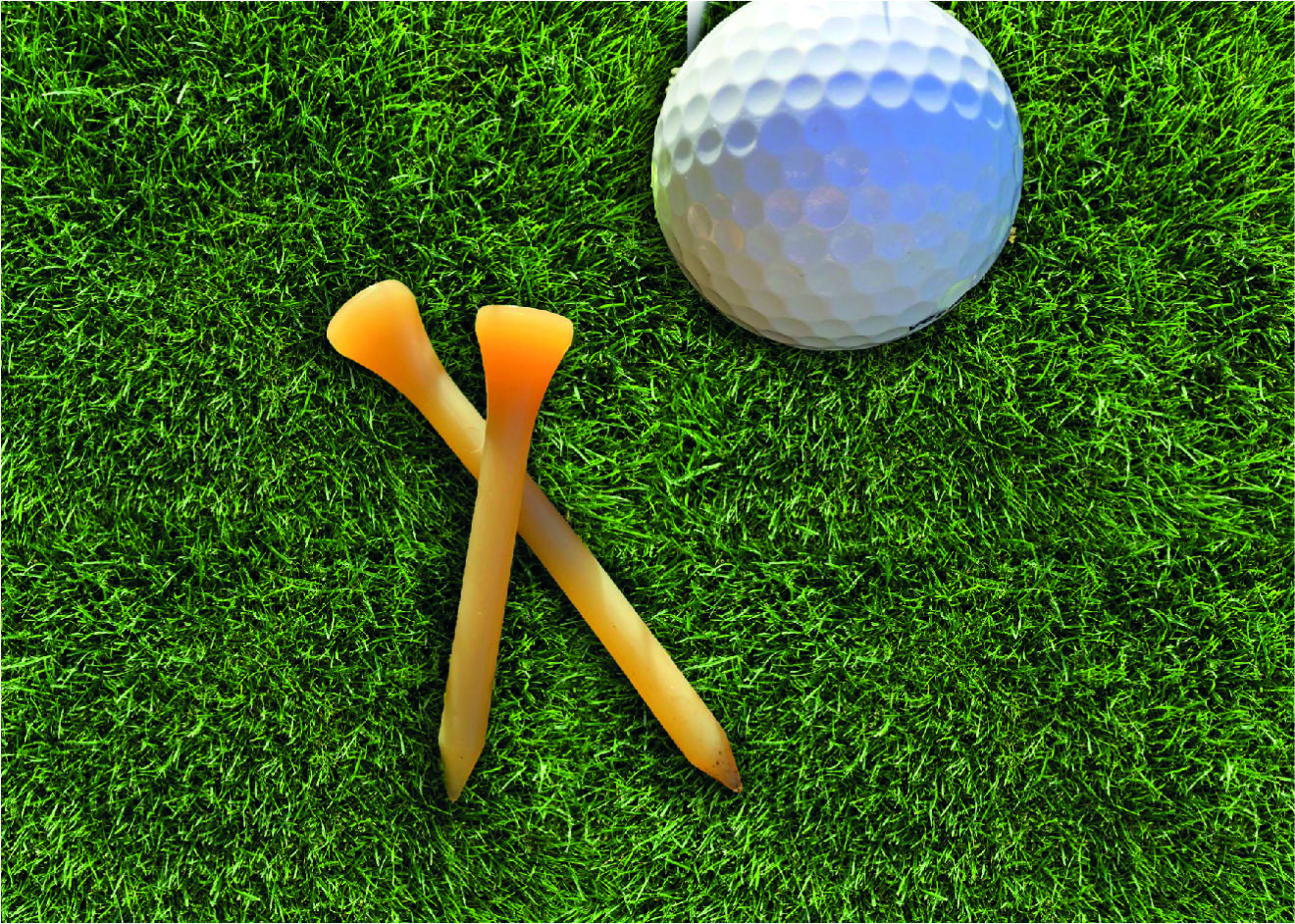 Les applications se multiplient pour la résine de Lactips - Enviscope